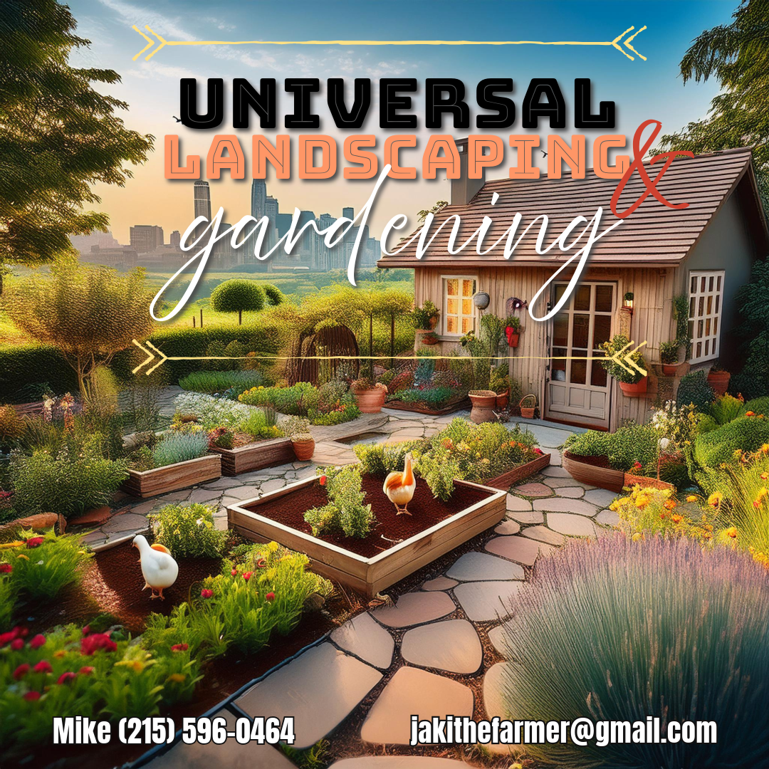 Universal landscaping & gardening – Mike the universal artist